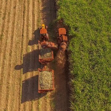 沖縄の方言「ゆいまーる」は絆の言葉 | ryukyu